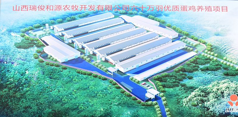 【新春走基层】马村镇：推进60万羽优质蛋鸡养殖项目 跑出项目建设新年“加速度”-山西省建设快讯-建设招标网